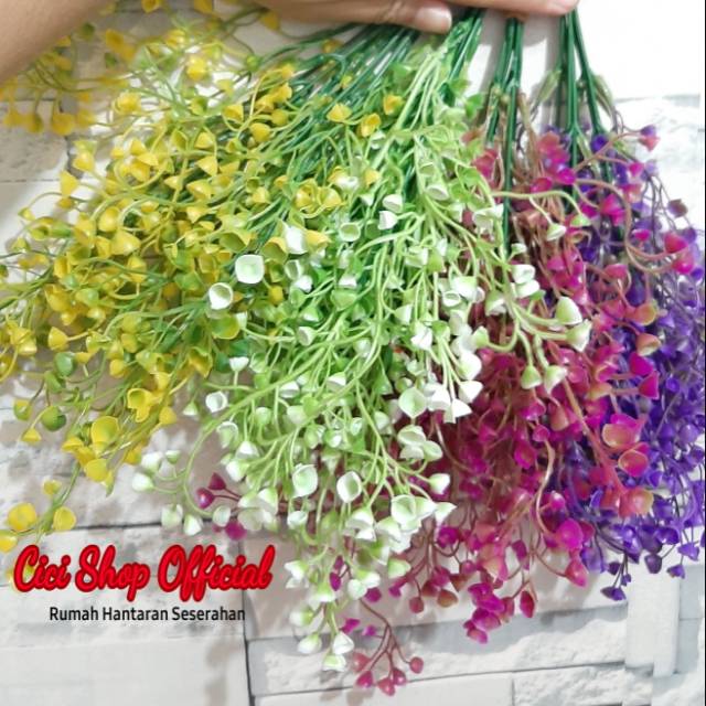 Jual 1tangkai Bunga rambat/daun rambat/ranting rambat/tanaman rambat ...