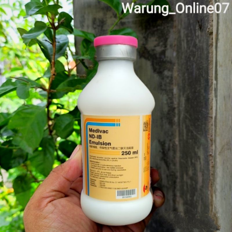 Jual Vaksin ND IB Emulsion dosis 250ml Vaksin Ayam Mencegah Tetelo Fluburung Infeksi Pernafasan ...