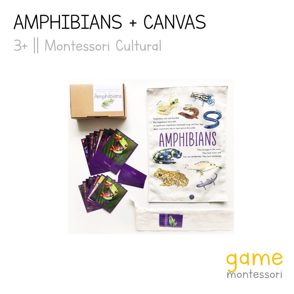 Jual Game Montessori Animal Classification Canvas Series Mollusks ...