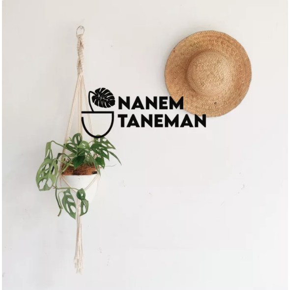 Jual Nanem Taneman - Hanging Planter Macrame - Cotton Asli - Gratis Pot ...