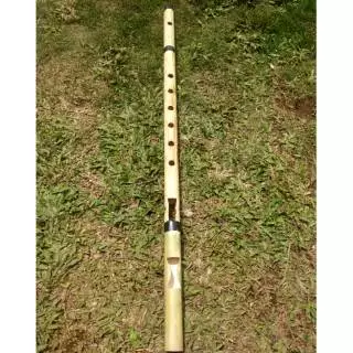 Jual seruling batak Harga Terbaik & Termurah Maret 2025 | Shopee Indonesia