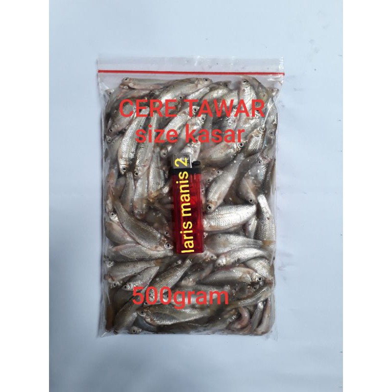 Jual IKAN CERE BEKU PAKAN IKAN-IKAN CERE AIR TAWAR BEKU PAKAN IKAN ...