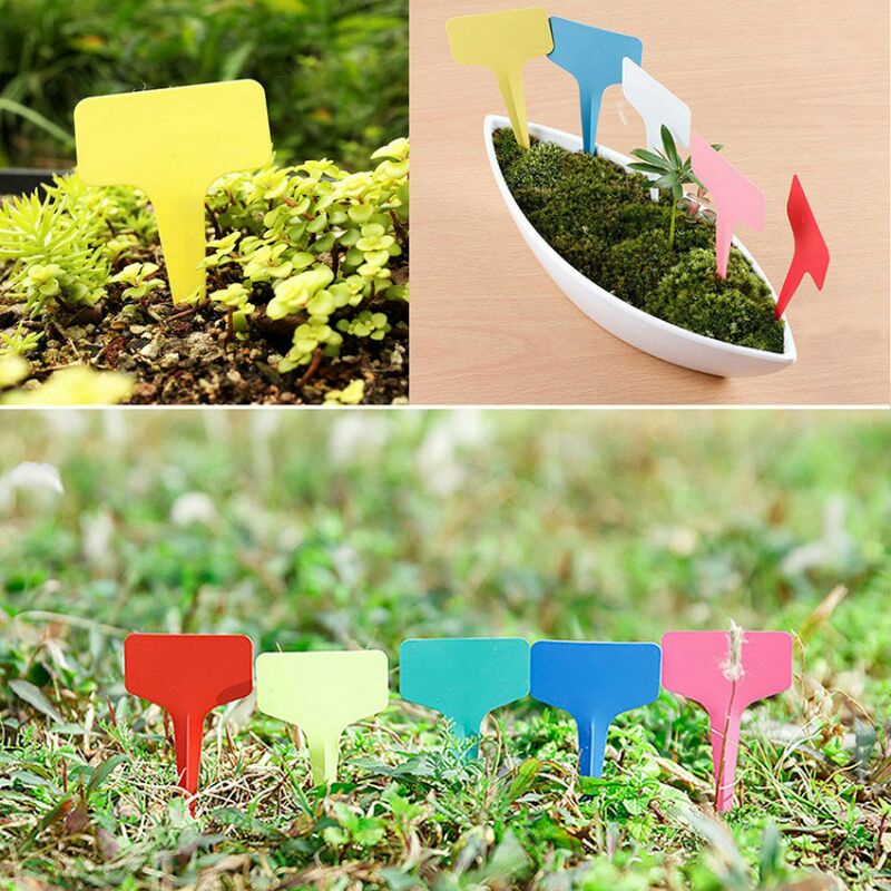 Jual NAME TAG-LABEL TANAMAN-LABEL MARKER-NAME TAG TANAMAN-PENANDA/ LABEL NAME TAG TANAMAN/ PLANT ...