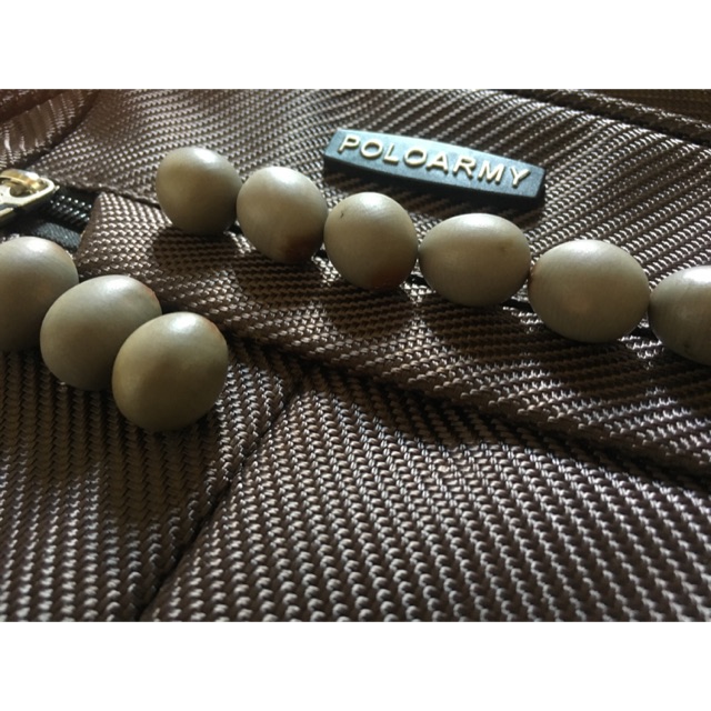 Jual Buah Bambu Alami Kalimantan Per 10 Biji | Shopee Indonesia