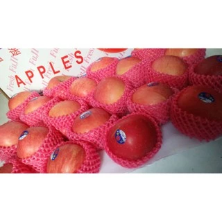 Jual Apel Fuji Terlengkap & Harga Terbaru Januari 2026 | Shopee Indonesia