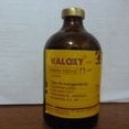 Jual KALOXY VET 100 ml | Shopee Indonesia
