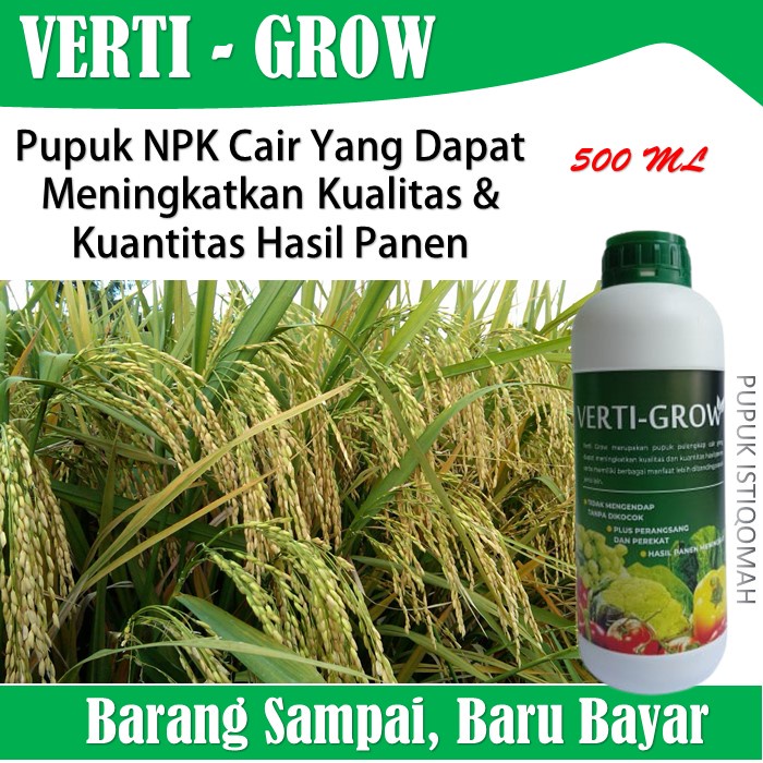 Jual [PUPUK TERBAIK] Pupuk NPK Cair VERTI Grow obat pelebat Padi ...