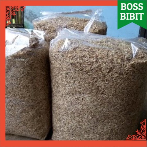 Jual Sekam Padi Original Sebagai Media Tanam 2liter Sekam Mentah ...