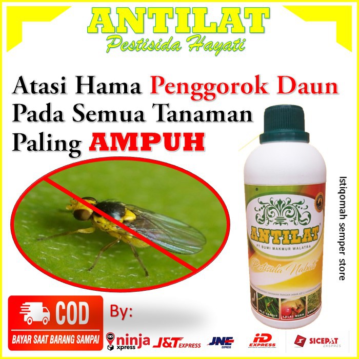 Jual Obat Hama Atasi Penggorok Daun - Antilat Pestisida Nabati Paling ...