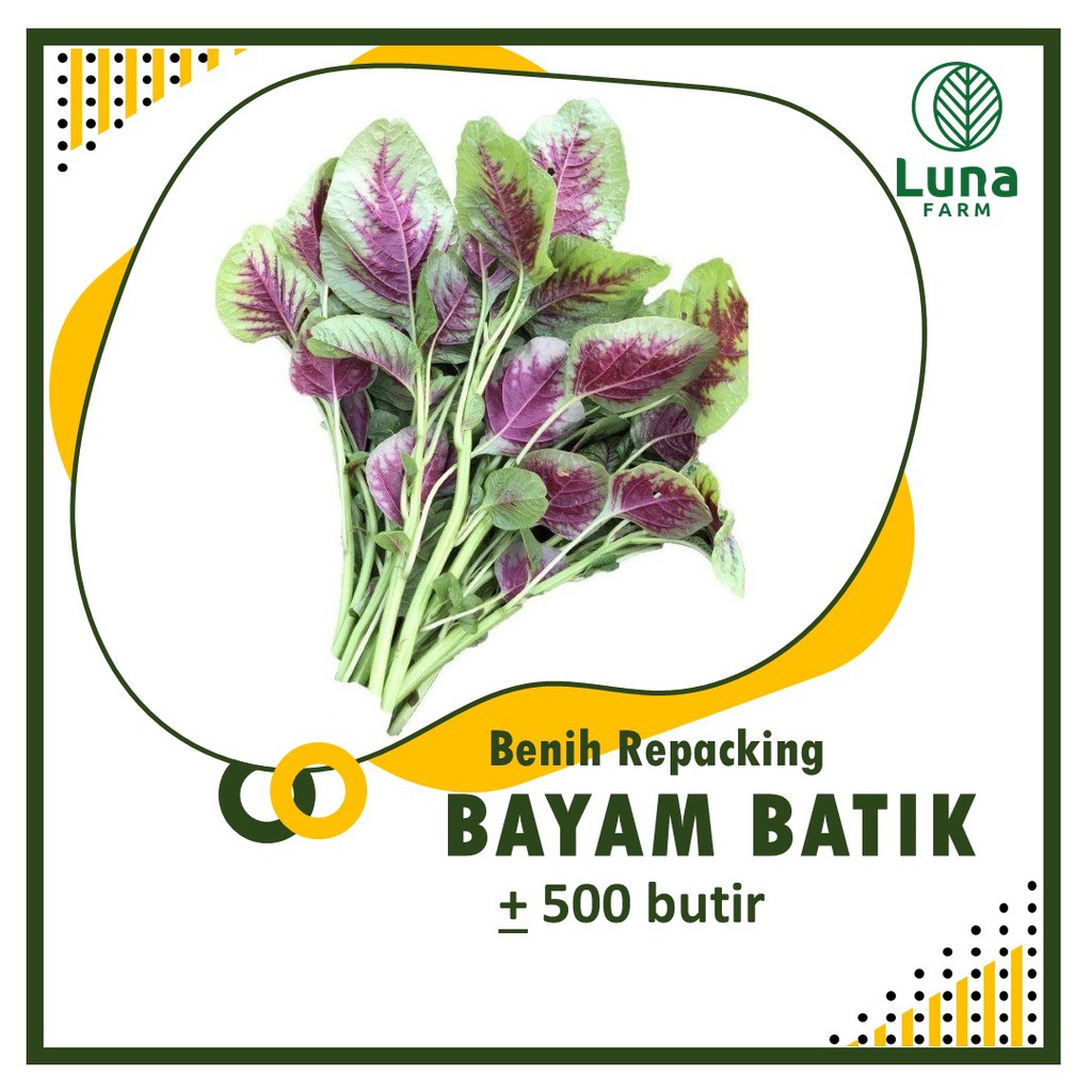Jual Benih Bayam Batik 250 Butir Biji Bibit Sayuran Daun Seribuan | Shopee Indonesia