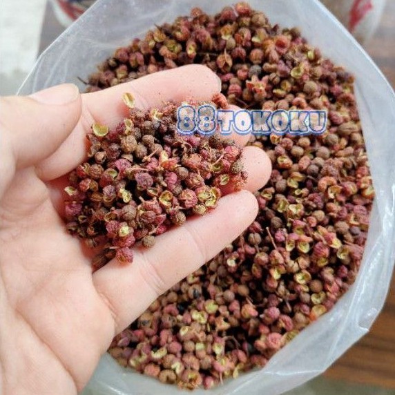 Jual Lada merah biji Mala Szechuan pepper sechuan hwa ciao hua jiao 100 ...