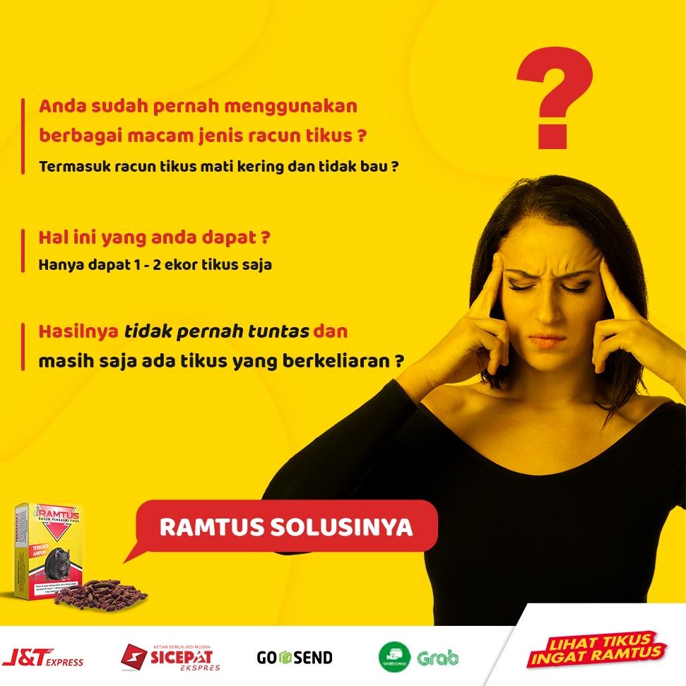 Jual Ramtus Racun Tikus Ampuh Mati Kering Tidak Bau Pembasmi Curut ...