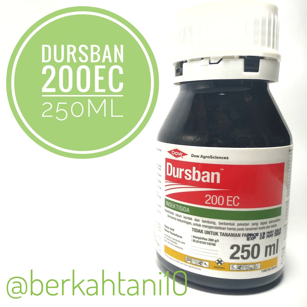 Jual Dursban 250 ml Obat Lalat Buah dan Obat Penghisap Buah | Shopee ...