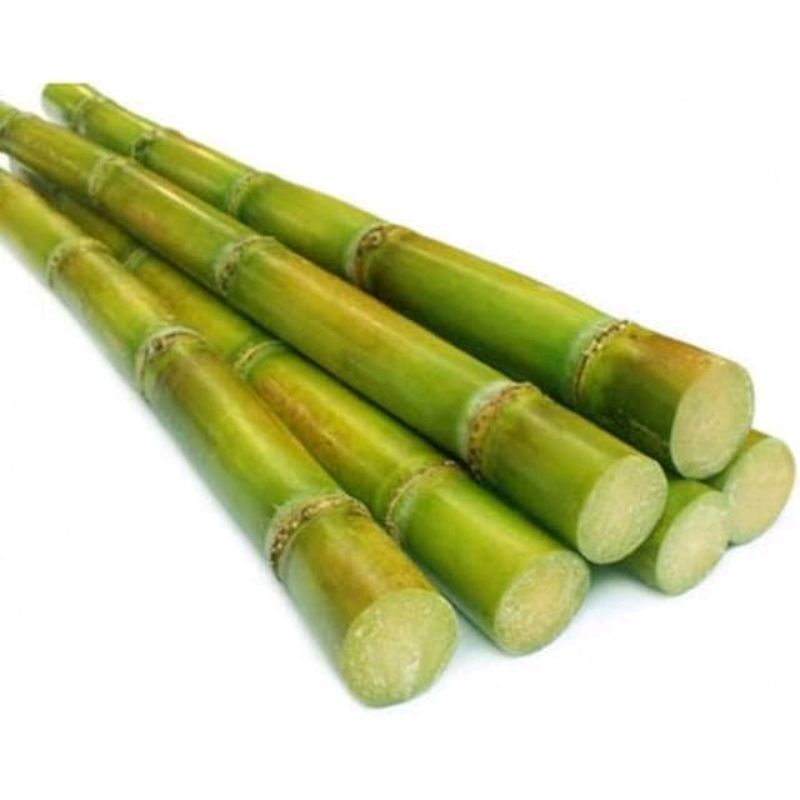 Jual TEBU HIJAU FRESH 1KG sh | Shopee Indonesia