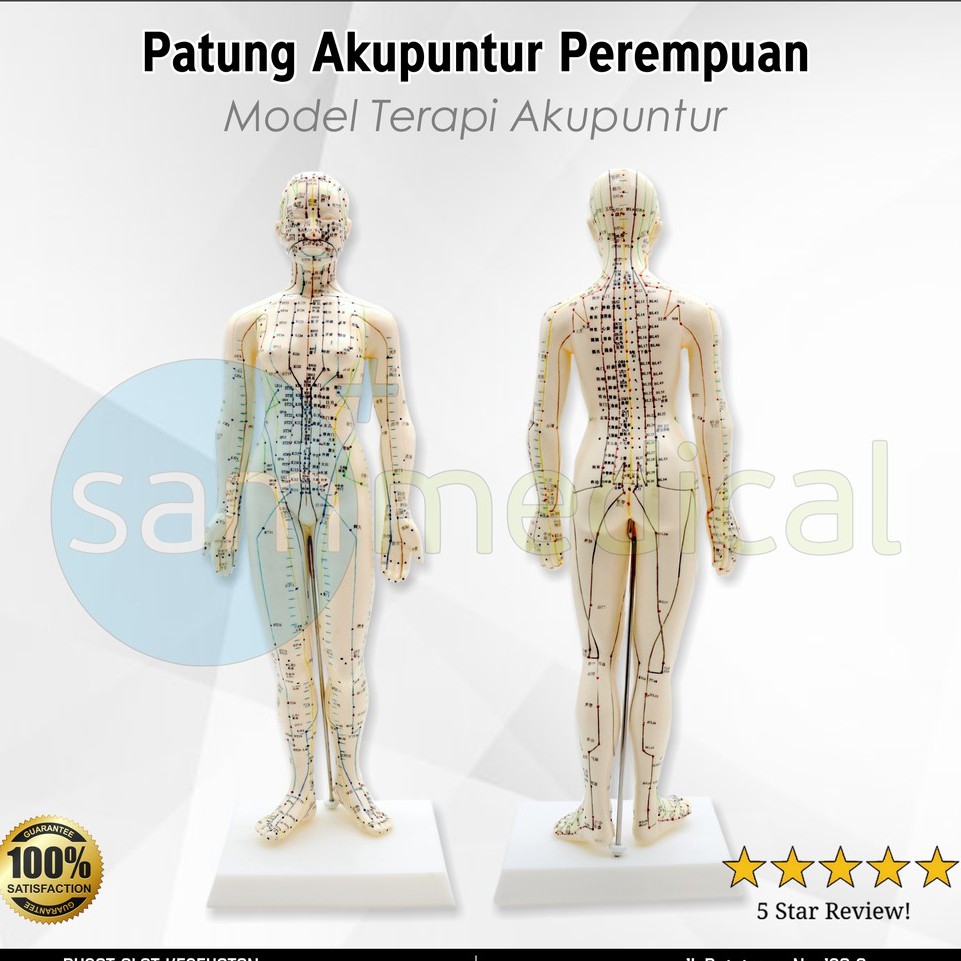 Jual Patung Akupunktur / Peraga Akupuntur / Boneka Akupuntur | Shopee ...