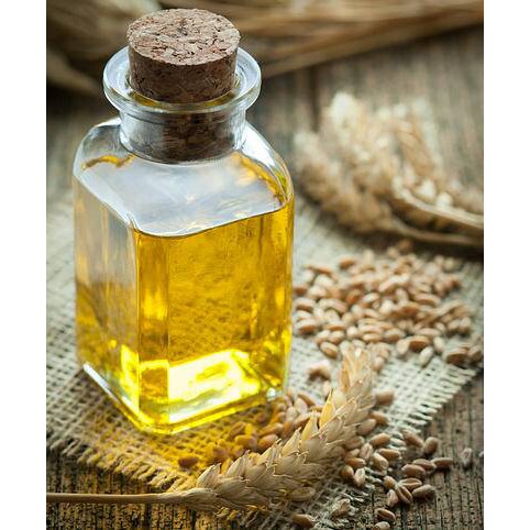 Jual Wheat Germ Oil 100ml / Minyak Gandum | Shopee Indonesia