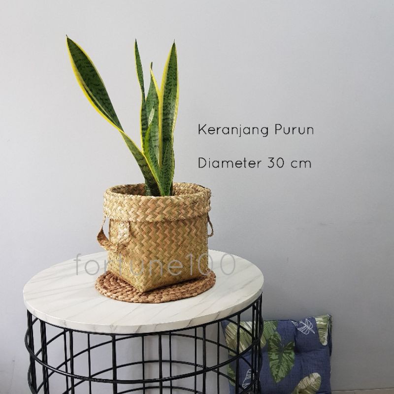 Jual Keranjang Anyaman Purun Handle / Cover Pot Kekinian / Tas Purun ...