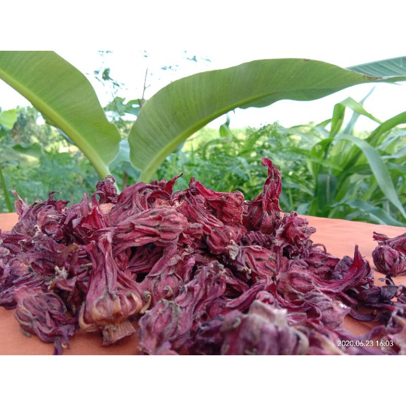Jual herbal rosela teh merah asli organic /teh rosella merah sehat kaya ...