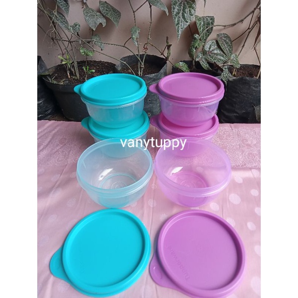 Jual tupperware summer cup ecer (1pcs) | Shopee Indonesia