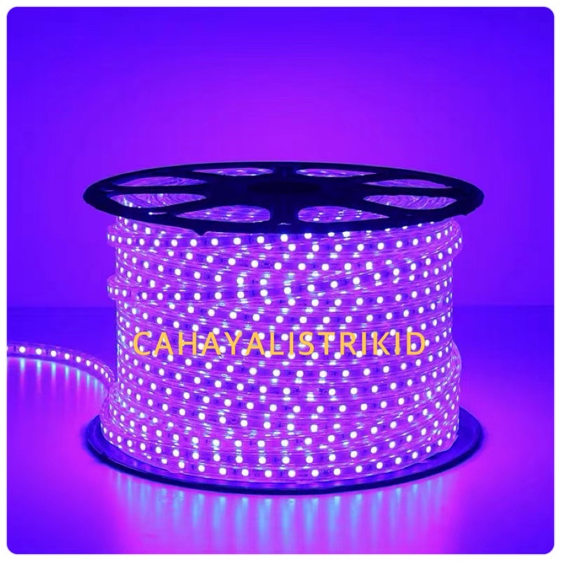 Jual LAMPU LED STRIP SELANG SMD 5050 100M 100 METER / LAMPU PLAFON ...