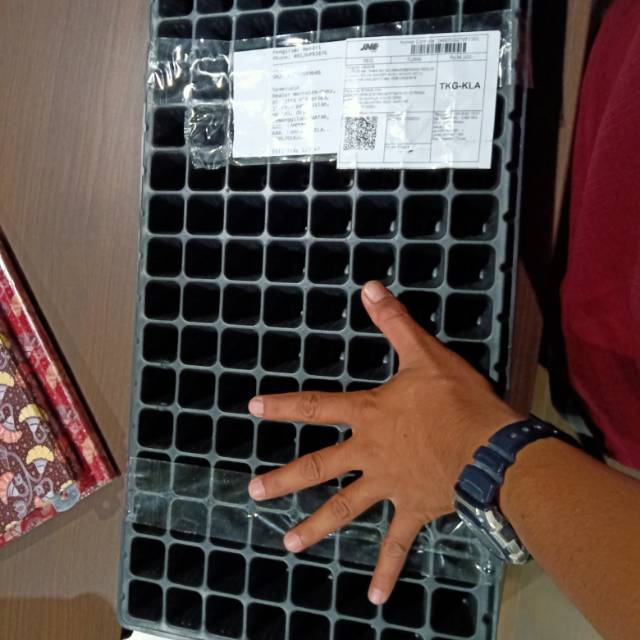 Jual Pottray tray semai tanaman / potray 128, 1,1 MM, kualitas paling ...