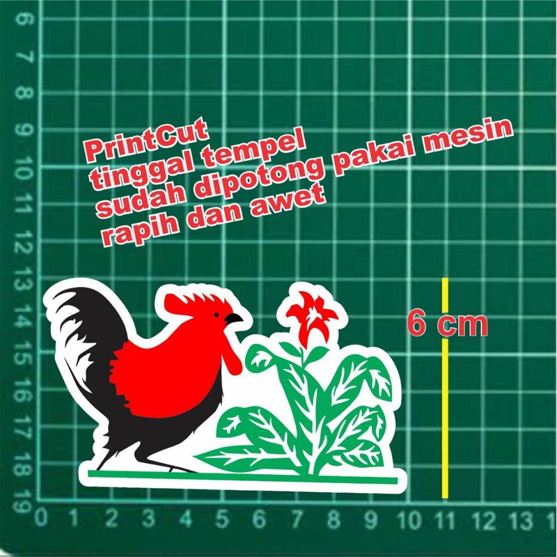 Jual Sticker helm - stiker ayam jago | Shopee Indonesia