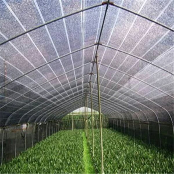Jual Paranet 50% Lebar 1.8 Meter Jaring Tanaman Hidroponik Atap Green ...