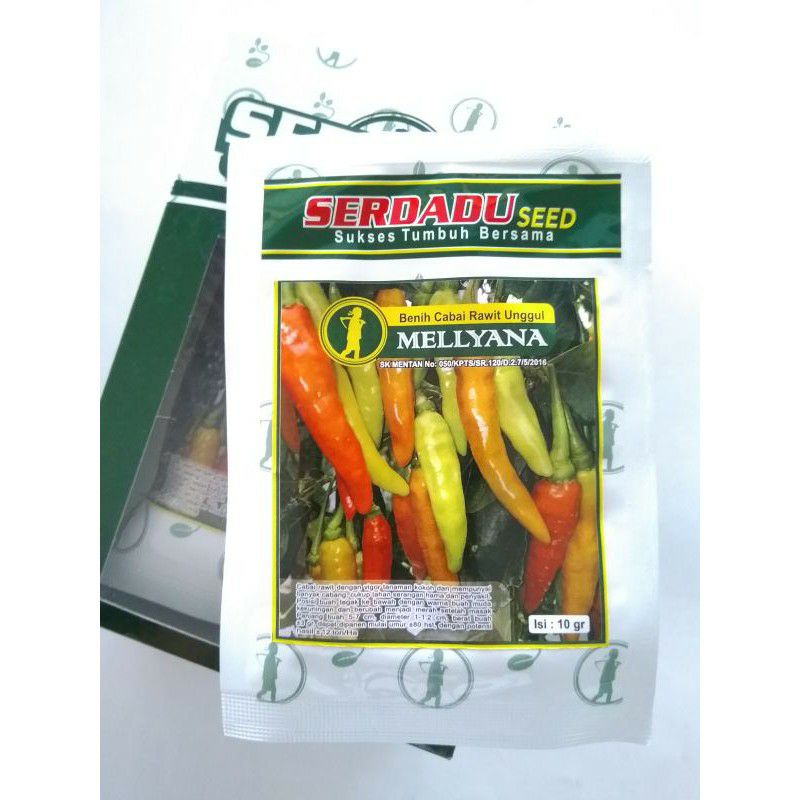 Jual Benih cabe rawit putih unggul MELLYANA, cabai rawit tahan penyakit ...