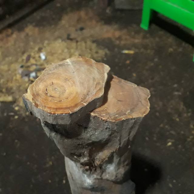 Jual Bahan kayu raja merah tembus cahaya | Shopee Indonesia