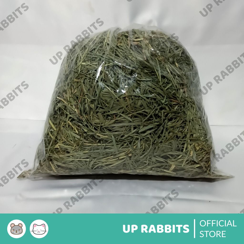 Jual makanan kelinci Rumput hay OXBOW ORCHARD | Shopee Indonesia