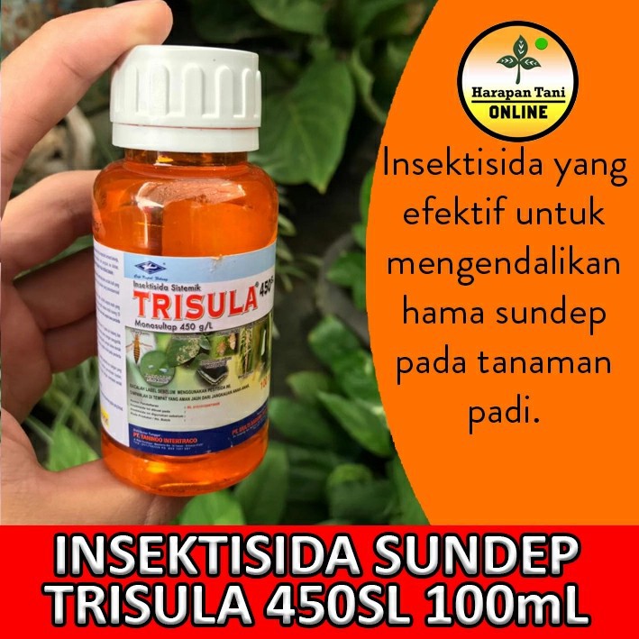 Jual Trisula 450SL 100mL | Insektisida | Pembasmi Sundep Tanaman Padi ...