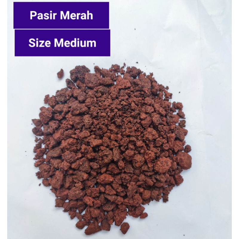 Jual Pasir Malang Merah Media Substrate Aquascape Harga per 1 kg ...