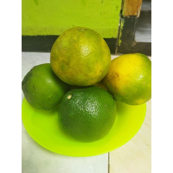 Jual Buah jeruk garut jeruk bali kecil 1KG | Shopee Indonesia