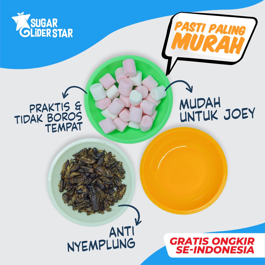 Jual TEMPAT MAKAN MINI / WADAH CAMILAN SUGAR GLIDER HAMSTER LANDAK ...