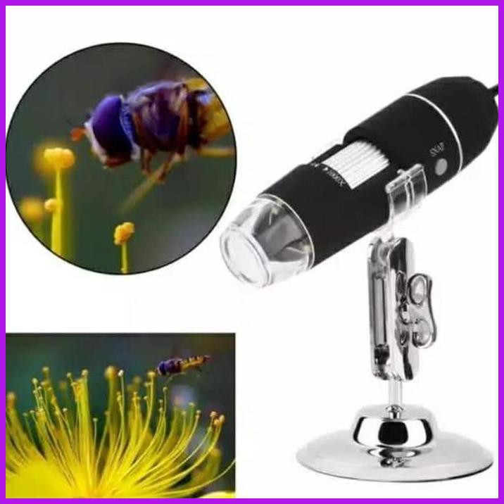 Jual Digital microscope skin analyzer face & hair komputer and ...