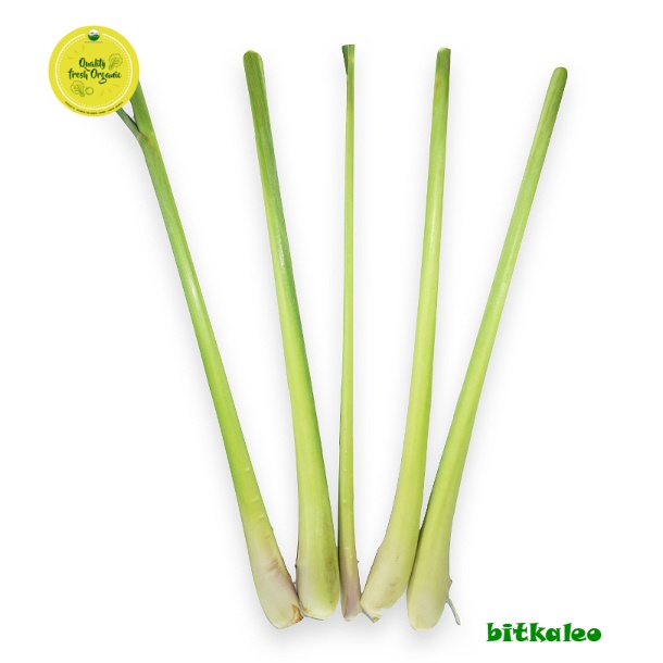 Jual Daun Sereh Organik 200 gr (PO) | Shopee Indonesia