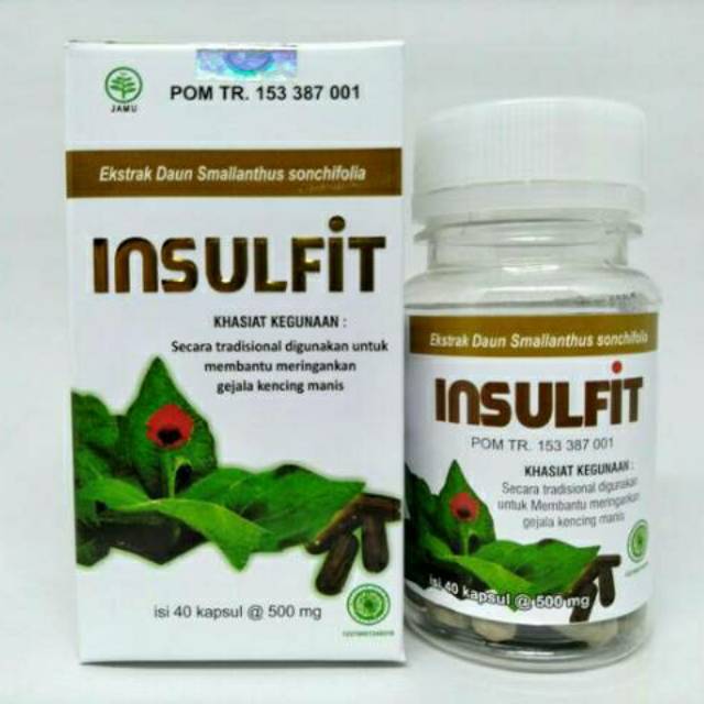 Jual Kapsul daun insulin/kapsul insulfit/obat gula/diabet/diabetes ...