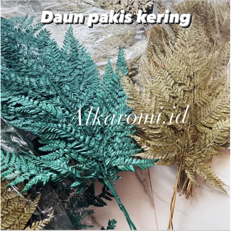 Jual Daun pakis kering / Daun rustic | Shopee Indonesia
