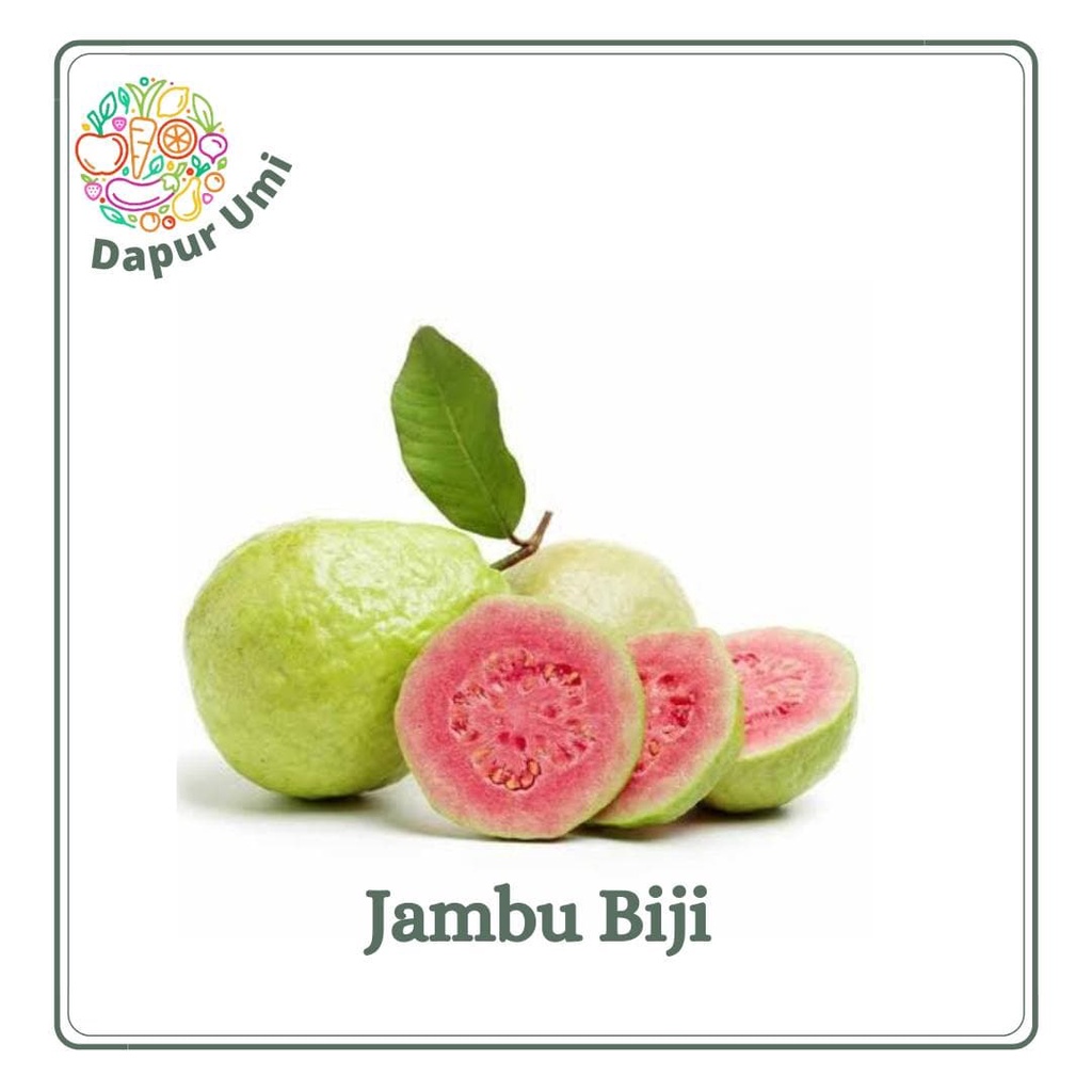 Jual JAMBU BIJI MERAH - BUAH BUAHAN SEGAR PURWAKARTA | Shopee Indonesia