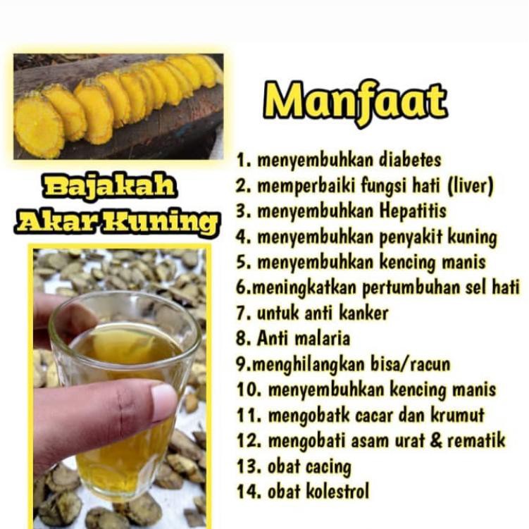 Jual Bajakah Akar Kuning | Shopee Indonesia