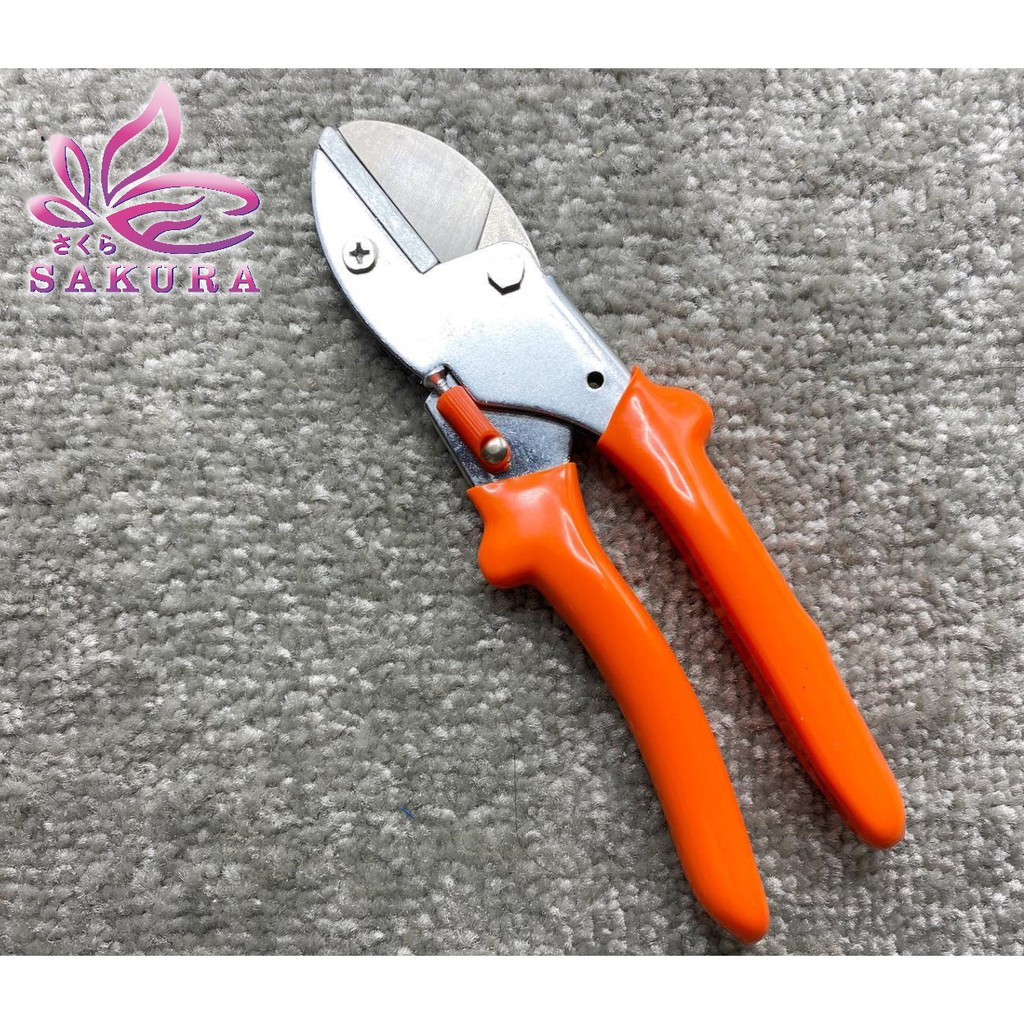 Jual Gunting daun,Batang,buah tanaman gunting serbaguna SOLIGEN ...