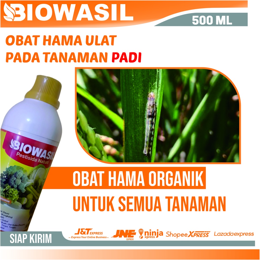 Jual Pestisida Nabati Biowasil 500 ML - Obat Semprot Anti Hama Ulat Pada Padi Sawah ...