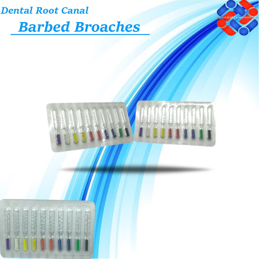 Jual Dental Barbed Broaches Medical Stainless Steel Root Canal File ...