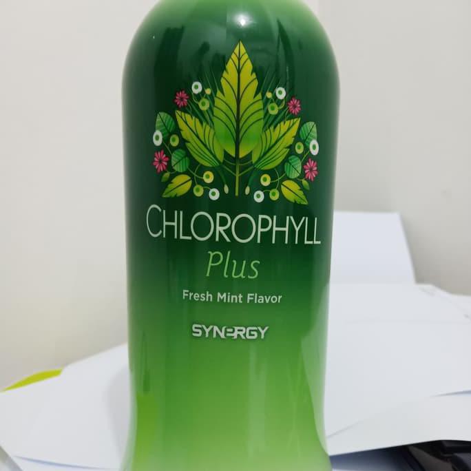 Jual Chlorophyll Plus Sinergy Klorofil Daun Hijau Mint | Shopee Indonesia