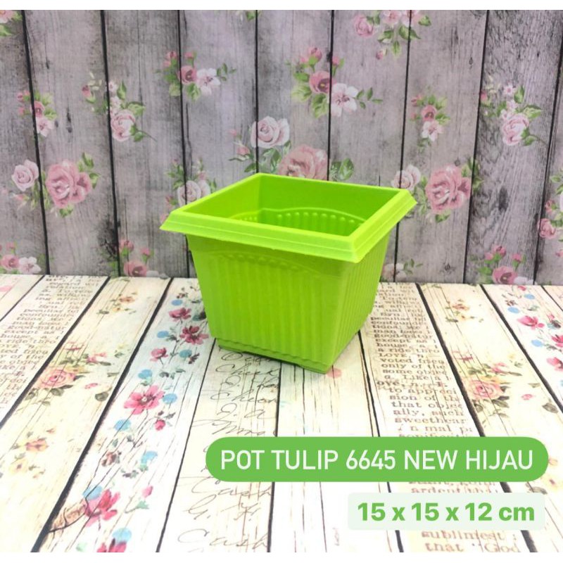 Jual Pot Bunga Petak Persegi 6645 HIJAU APEL UKURAN 15CM | Shopee Indonesia