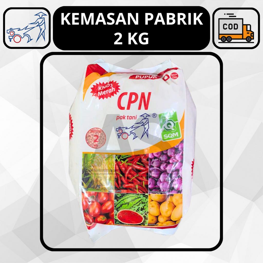 Jual Pupuk KNO 3 MERAH CPN 2 KG 15-0-14 Pak Tani Saprotan Utama KNO3 ...