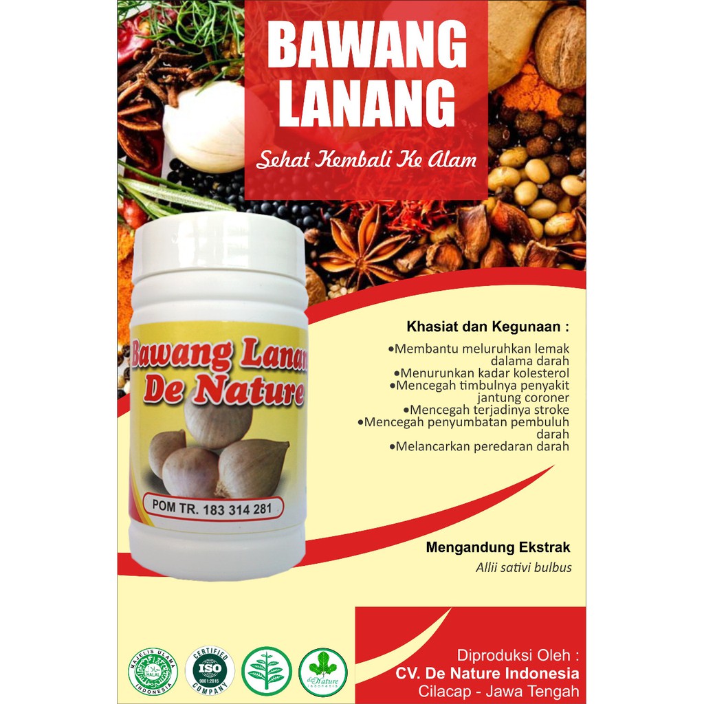 Jual Bawang Lanang / Bawang Tunggal/ Mencegah kanker / Anti Kanker ...