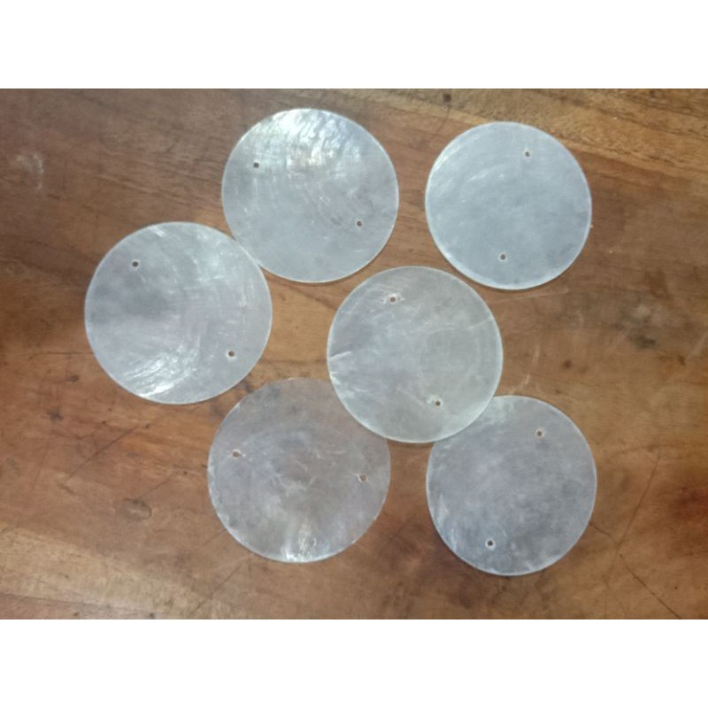 Jual Kerang Kapis | Kulit kerang simping | kerang hias | kerang laut ...