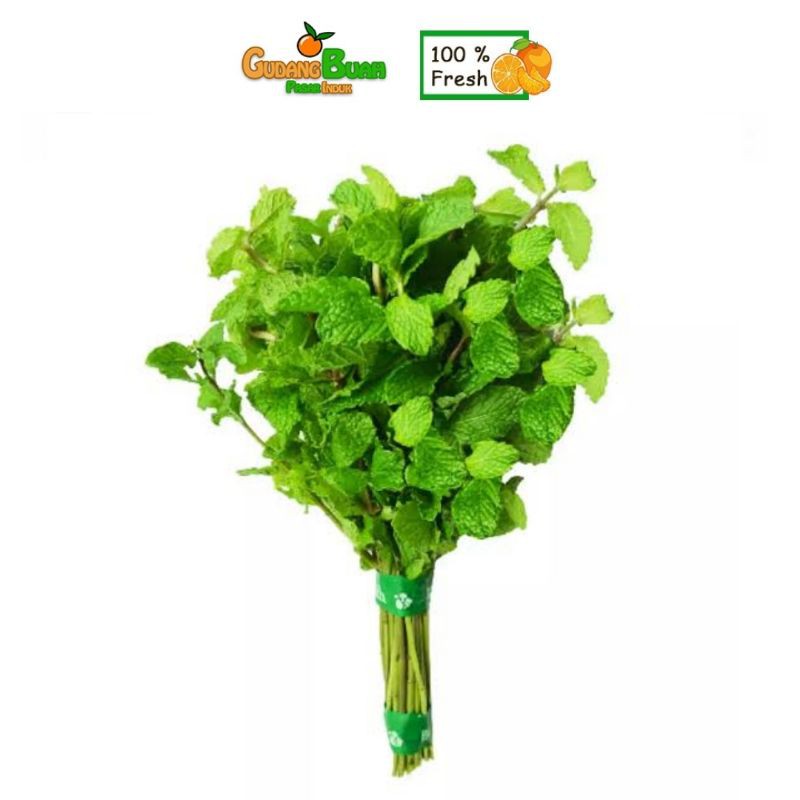 Jual Daun Mint Segar | Mint Leaf 1kg | Shopee Indonesia