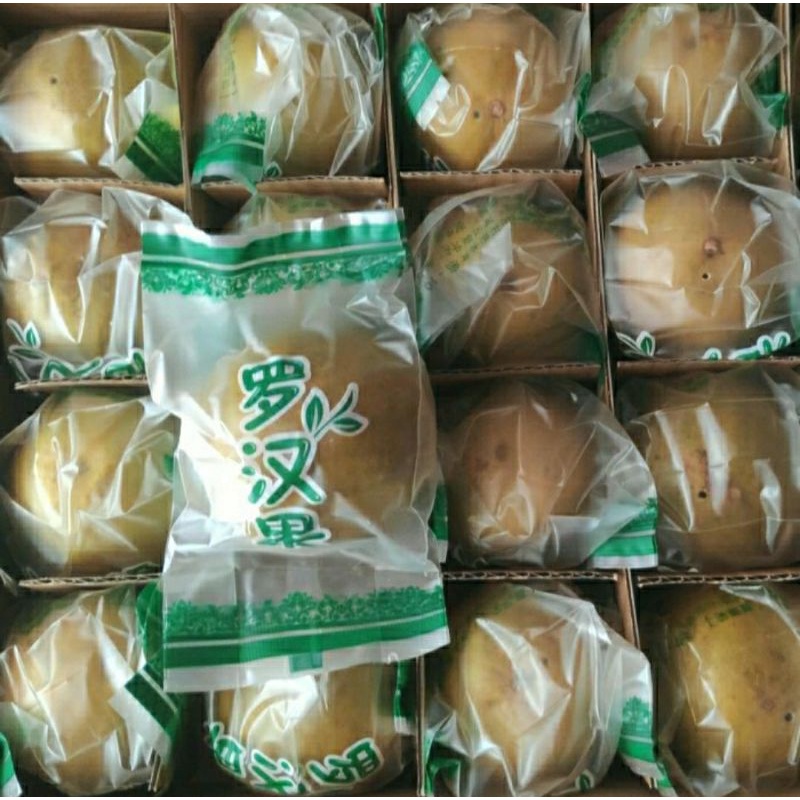 Jual 1 buah herbal golden luo han guo / dian luo han guo 电罗汉果 luohanguo ...